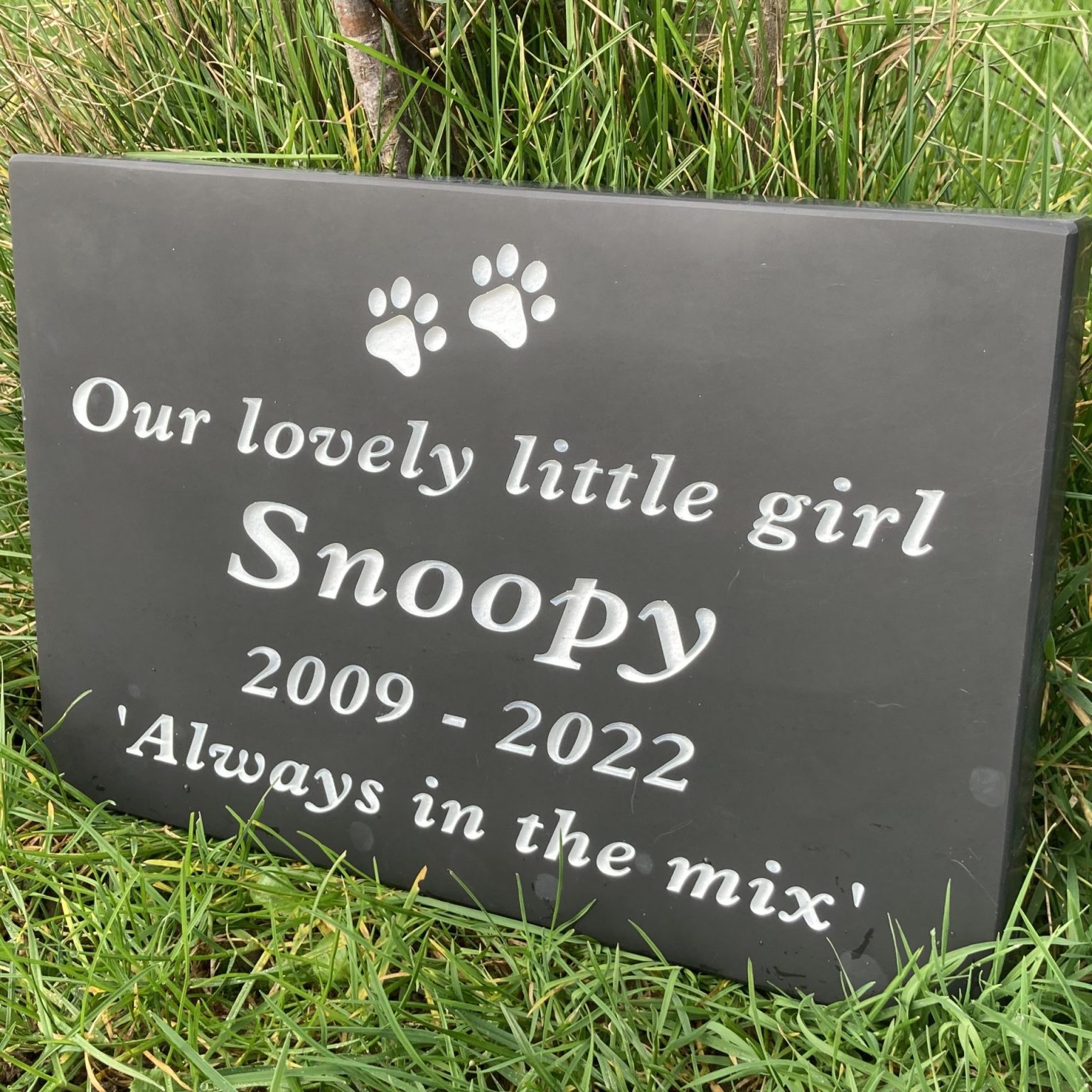 Pet Memorial Stones • Pets Remembered